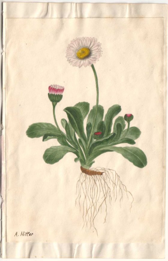 Adolf Hitler Paintings: 50+ Amazing Artworks Painted by The Notorious ...