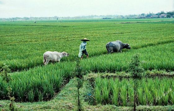 50+ Spectacular Photos Show Everyday Life Of China In the 1970s