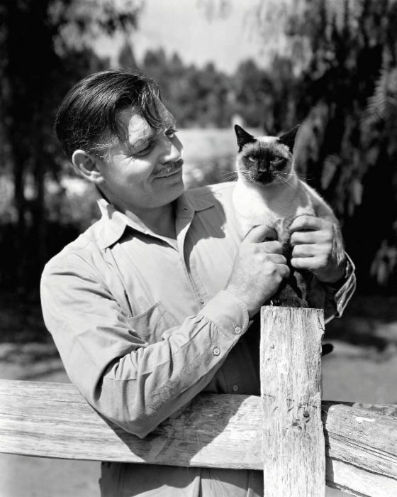 Famous Cat Lovers: 50+ Classic Stars With Their Adorable Cats