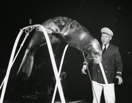 50+ Scary And Dangerous Circus Performances From Past That May Scare You