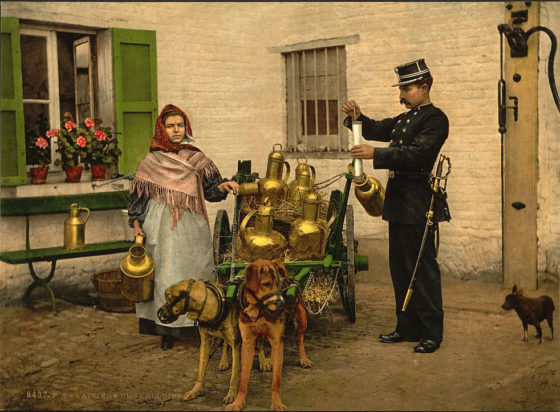 50+ Fascinating Photos Capture 1890s Belgium In Vivid Color