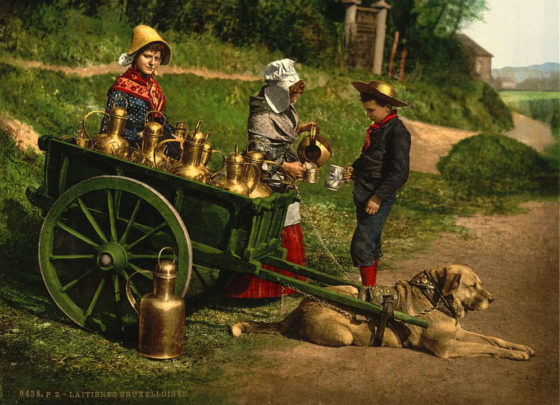 50+ Fascinating Photos Capture 1890s Belgium In Vivid Color