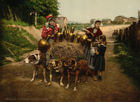 50+ Fascinating Photos Capture 1890s Belgium In Vivid Color