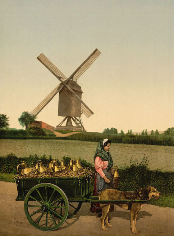 50+ Fascinating Photos Capture 1890s Belgium In Vivid Color