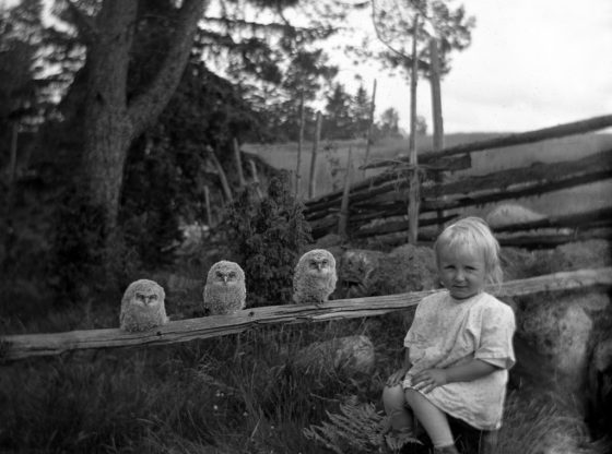 50+ Historical Photos Capturing Everyday Life In Sweden From the Early ...