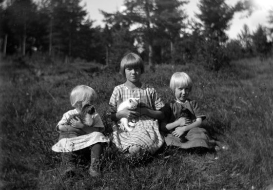 50+ Historical Photos Capturing Everyday Life In Sweden From the Early ...