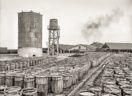 Historical Photos Of Florida At The Beginning Of 20th Century
