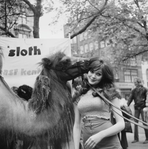 Glamorous Photos Of Madeline Smith From Over The Years