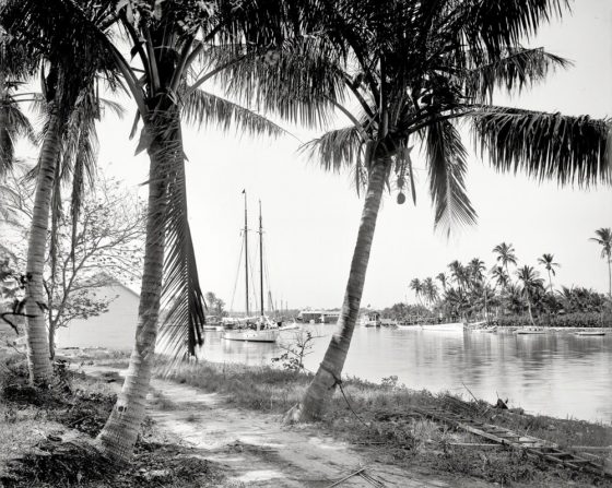 Rare Historic Photos Of Miami From 20th Century