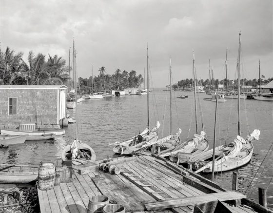 Rare Historic Photos Of Miami From 20th Century