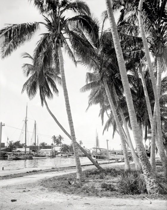 Rare Historic Photos Of Miami From 20th Century