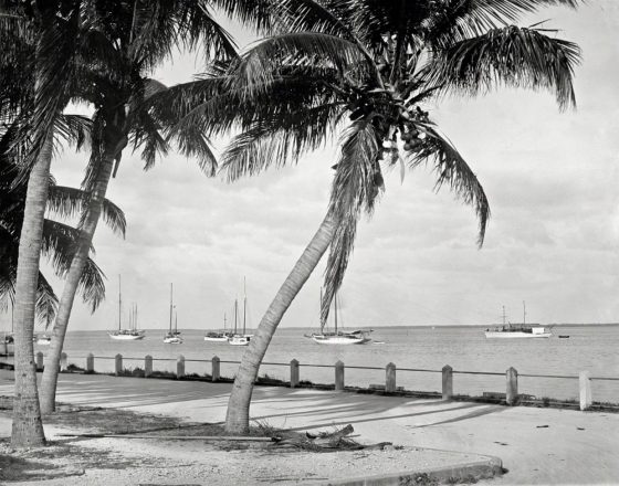 Rare Historic Photos Of Miami From 20th Century