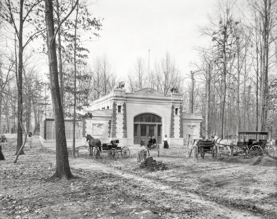 Historical Photos Of Old Memphis From 20th Century