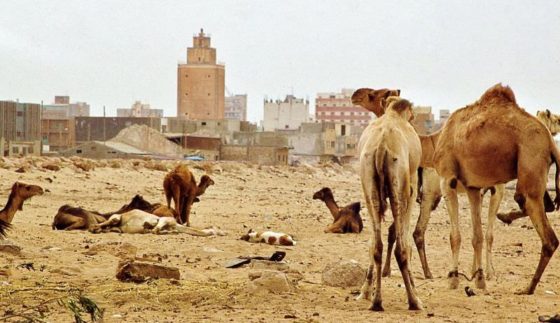 1970s Libya: Fascinating Historical Photos Show Everyday Life Of Libya ...