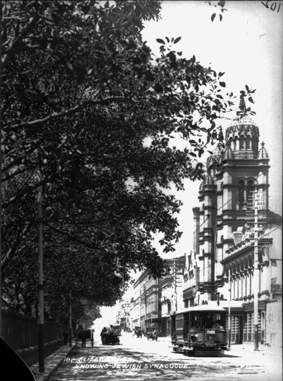 Old Sydney: Historical Photos Show Street Scenes And Everyday Life From ...