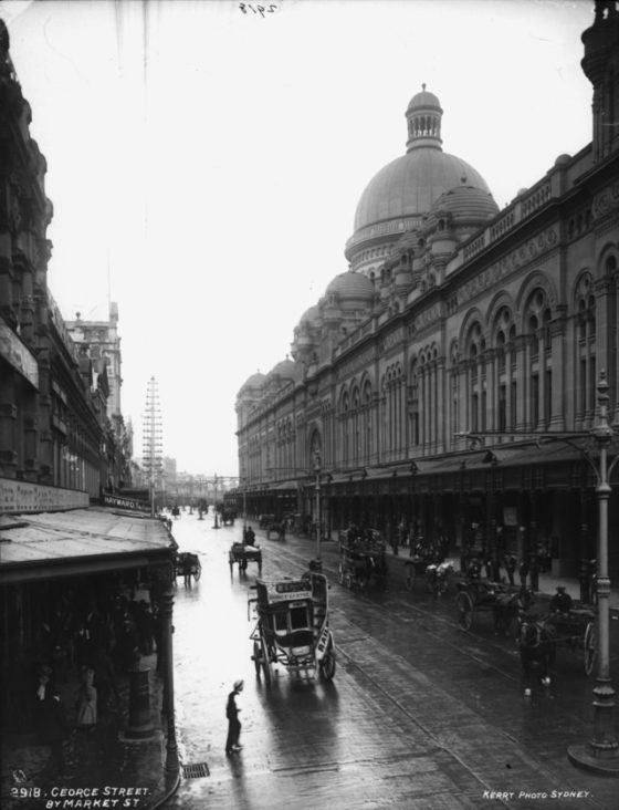 Old Sydney: Historical Photos Show Street Scenes And Everyday Life From ...