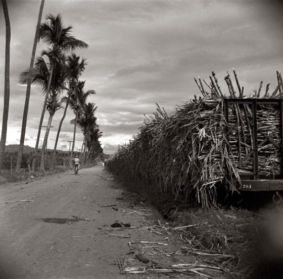 Amazing Historical Photos Of Puerto Rico From 1930s and 1940s That ...