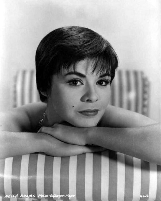 Life And Fabulous Photos Of Young Neile Adams Through The years