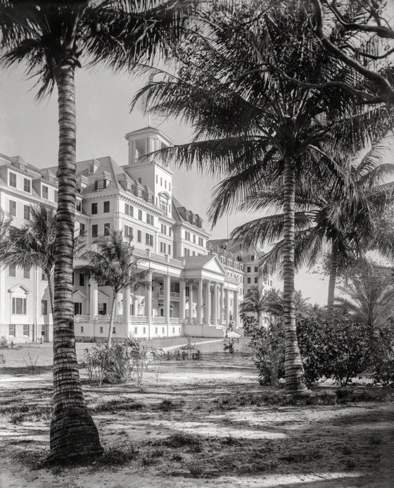 1890s Florida: Fascinating Historical Photos Show What Florida Looked ...
