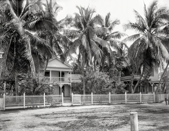 1890s Florida: Fascinating Historical Photos Show What Florida Looked ...