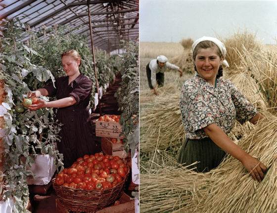 Spectacular Photos Show Life in Soviet Union From The 1950s in Vibrant ...
