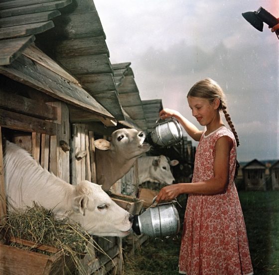 Spectacular Photos Show Life in Soviet Union From The 1950s in Vibrant ...