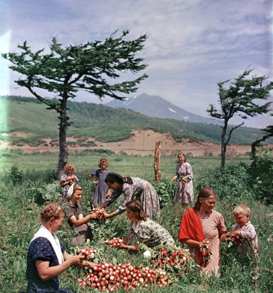 Spectacular Photos Show Life in Soviet Union From The 1950s in Vibrant ...