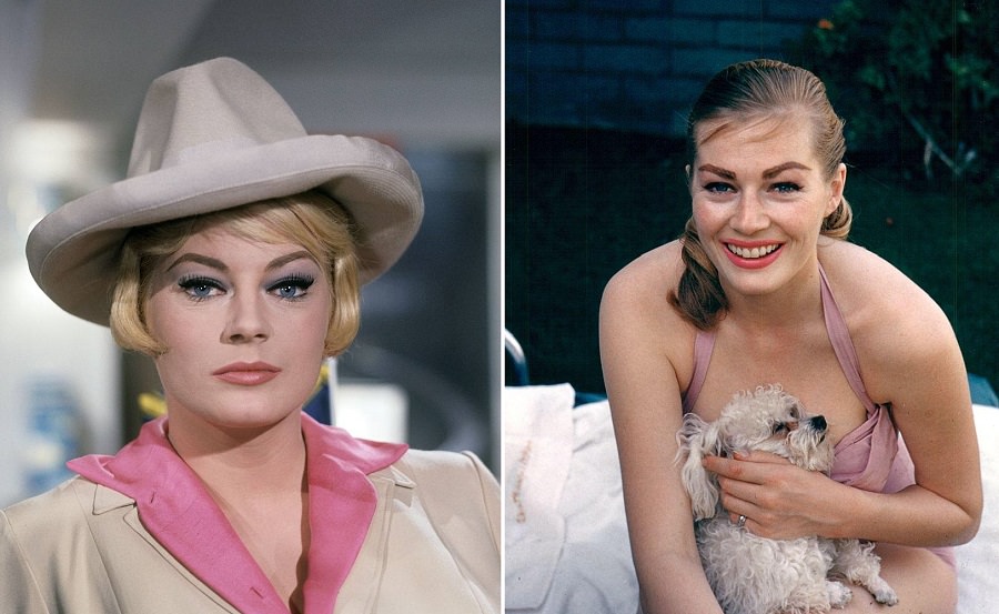 Anita Ekberg: Life Story and Gorgeous Photos of the Most Beautiful Swedish Actress