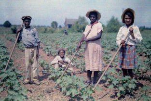 1920s America: Incredible Color Photos Offer a Rare Glimpse into ...