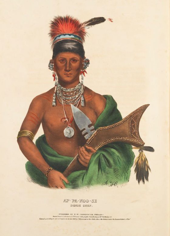 Historic Portraits of Chiefs of Native Indian Tribes of North America ...