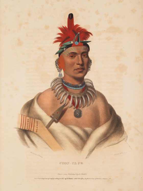 Historic Portraits of Chiefs of Native Indian Tribes of North America ...