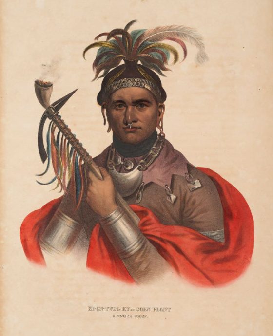 Historic Portraits of Chiefs of Native Indian Tribes of North America ...
