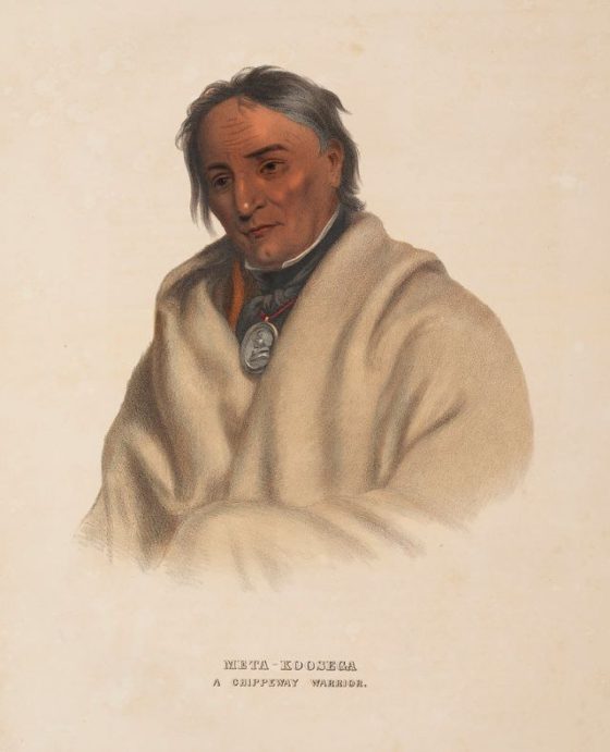 Historic Portraits of Chiefs of Native Indian Tribes of North America ...
