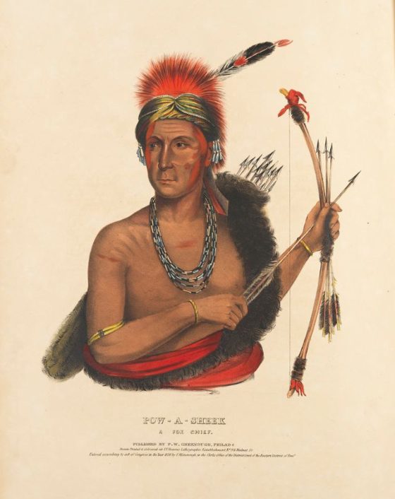 Historic Portraits of Chiefs of Native Indian Tribes of North America ...