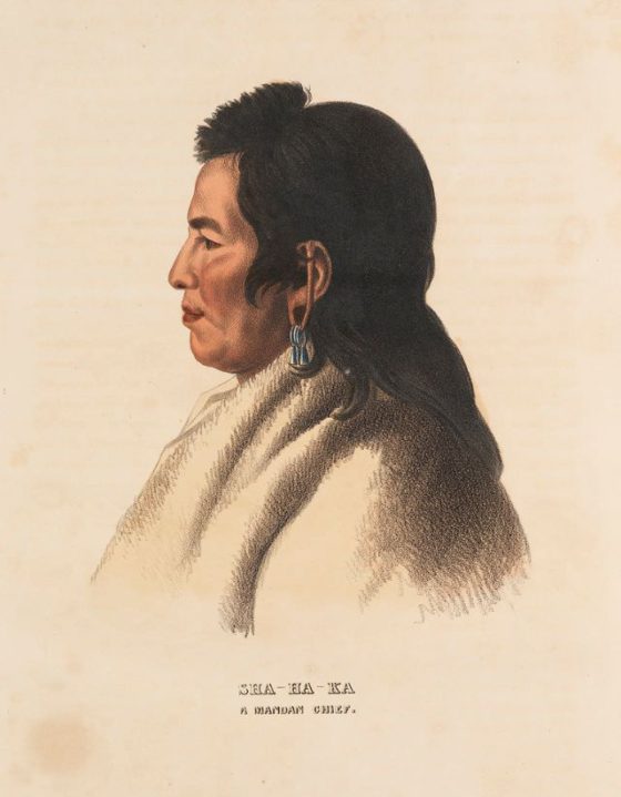 Historic Portraits of Chiefs of Native Indian Tribes of North America ...