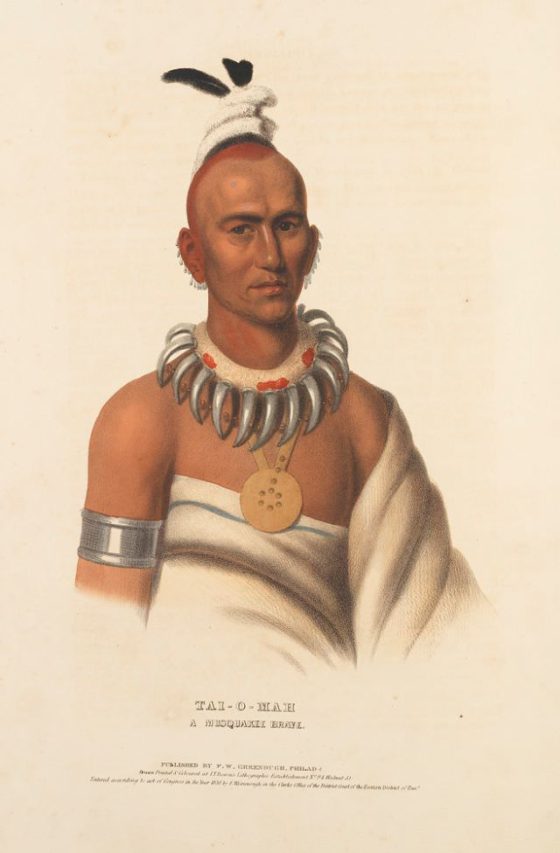 Historic Portraits of Chiefs of Native Indian Tribes of North America ...