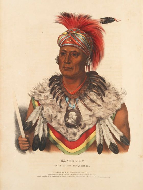 Historic Portraits of Chiefs of Native Indian Tribes of North America ...