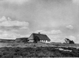 Fascinating Photos Show Countryside Life of Denmark in the 1930s