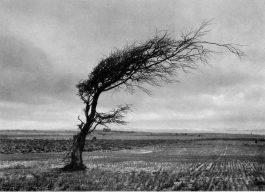 Fascinating Photos Show Countryside Life of Denmark in the 1930s