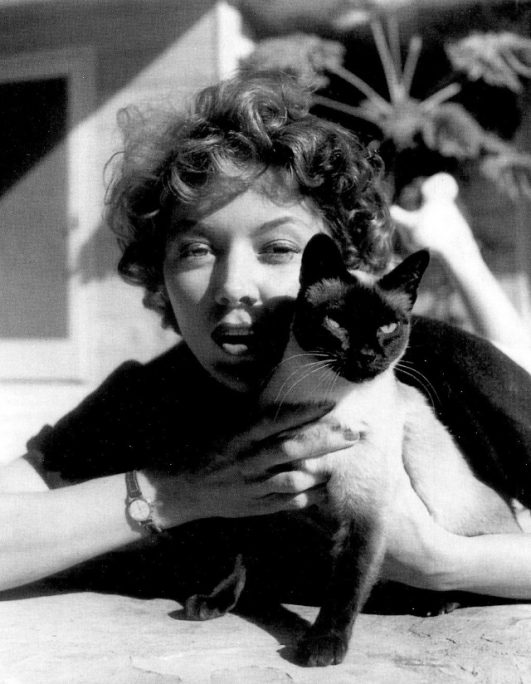 Beautiful Vintage Photos of Classic Hollywood Actresses with Their ...