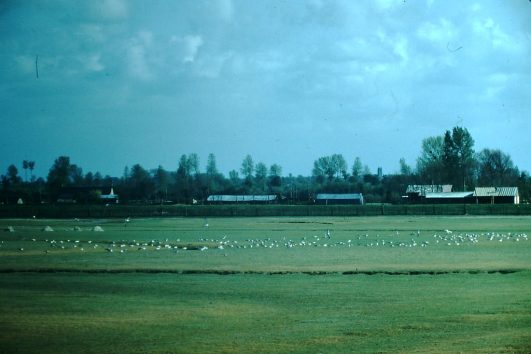 France in 1954: Fascinating Vintage Photos that will Take you Back to ...