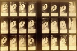 The Bertillon System, which classified Criminals according to their ...