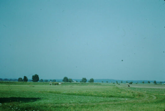 Fascinating Vintage Photos of West Germany in 1949, Soon after its ...