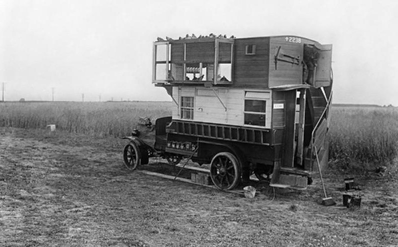 Pigeon Lofts of WWI: Historical photos of B-type Buses that were Used ...