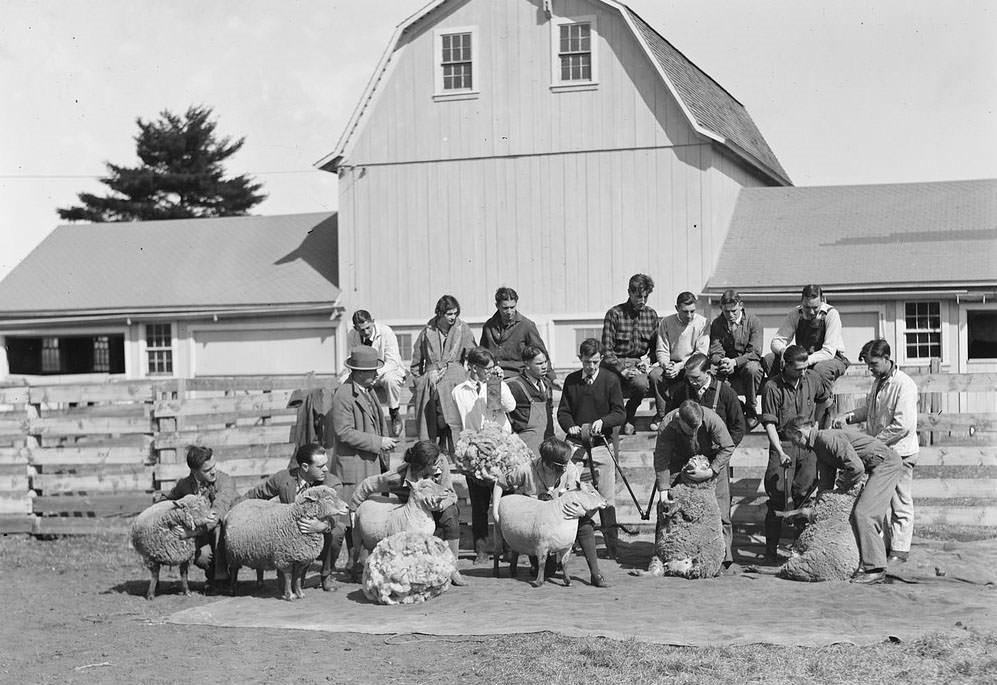 The Rural Life of Boston in the Early 1900s Through the Lens of Leslie ...