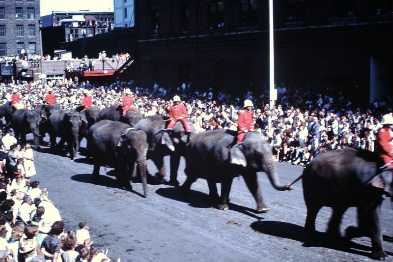 The Spectacular Milwaukee Circus Parade of the 1960s: A Blast from the ...