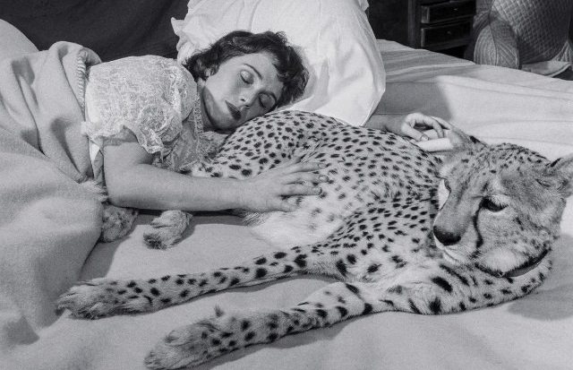 The Exotic World of Old Hollywood: Celebrities Posing with Their Pet ...