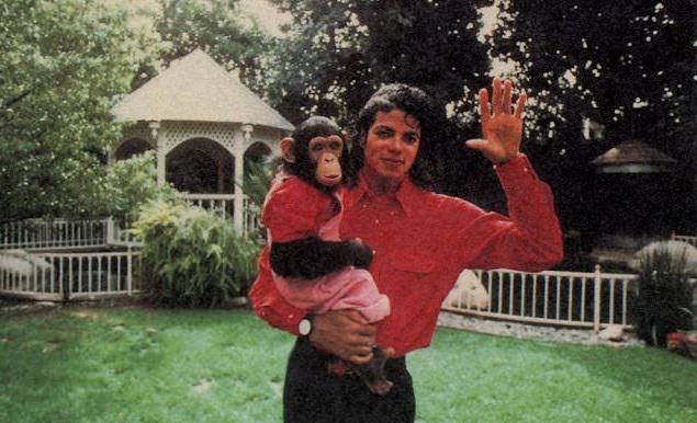 The Tale of Michael Jackson and His Pet Chimp, Bubbles