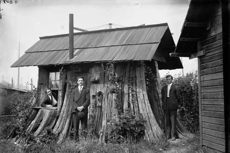 A Look Inside the Stunning Tree Stump House of the Late 19th and Early ...