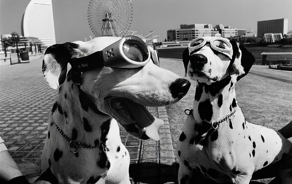 Spectacular Sublime and Artistically Proficient Photography of Léonard ...